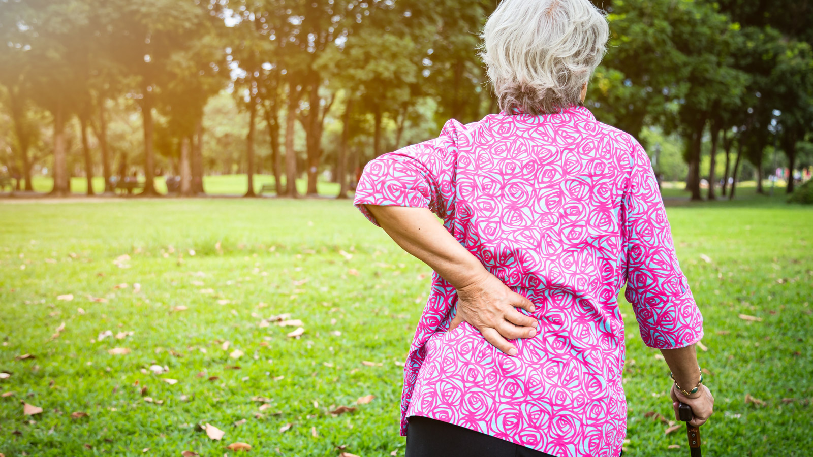 Can Bone Density Loss Cause Pain Top 5 Supplements can-bone-density-loss-cause-pain-top-5-supplements