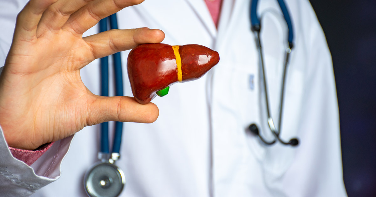 These Top 5 Liver Supplements Can Help Reduce Bloat and Detoxify the ...